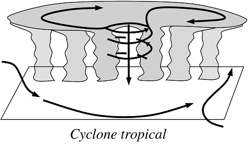Cyclone tropical – Institut Pierre-Simon Laplace